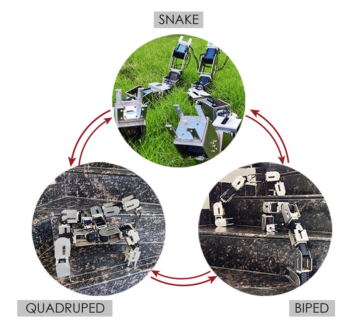 Reconfigurable Quadrupedal-Bipedal Snake Robots (ReQuBiS) | It's Aadesh ...